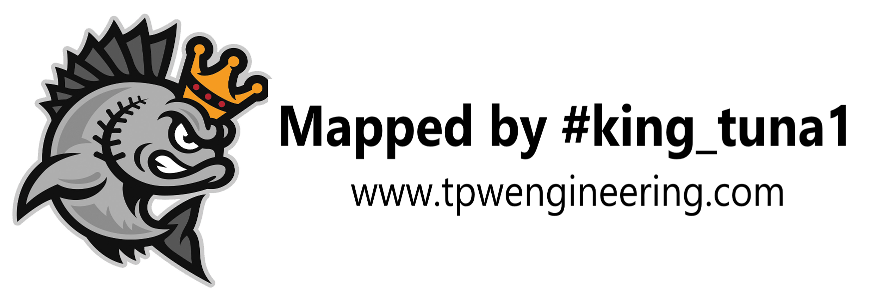 TPW Direct to ECU Custom Remapping — TPW Engineering