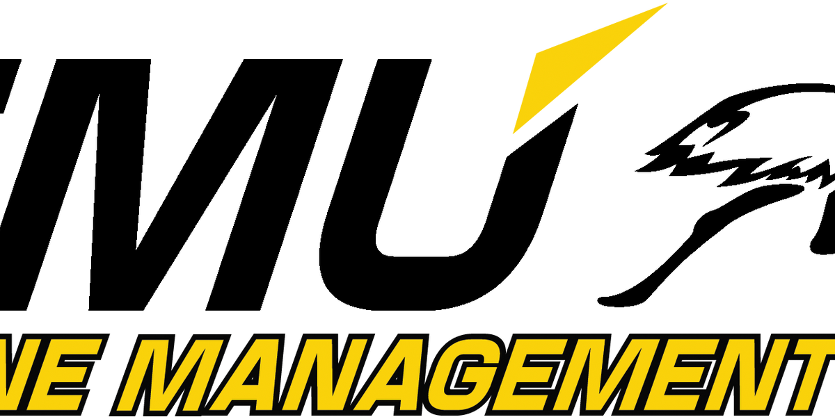 ECU Master — TPW Engineering